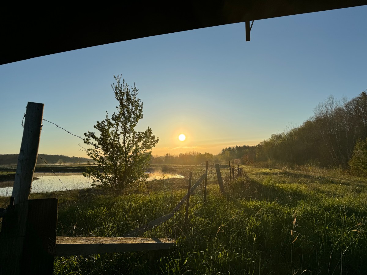 Sunrise run – Sandy's Photo Blog